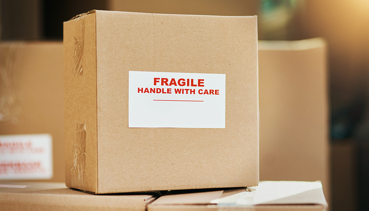 Handle with Care: How to Ship Fragile Items - PARCEL Industry